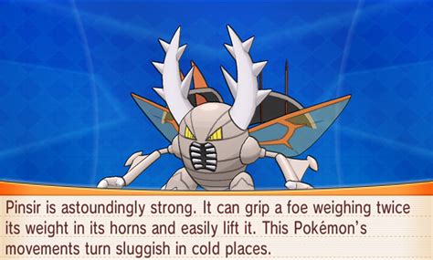The Best Bug Types In Pok Mon Oras Rse Fandomspot Racoonking