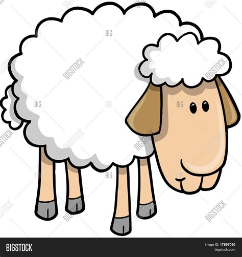 Sheep Lamb Vector Vector And Photo Free Trial Bigstock