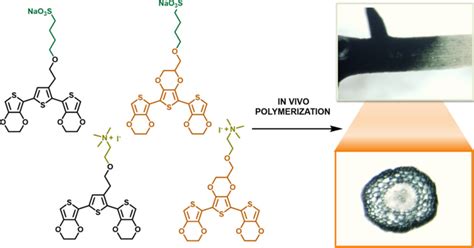 Conductive Elastomers With Tuneable Properties For Smart Wearable