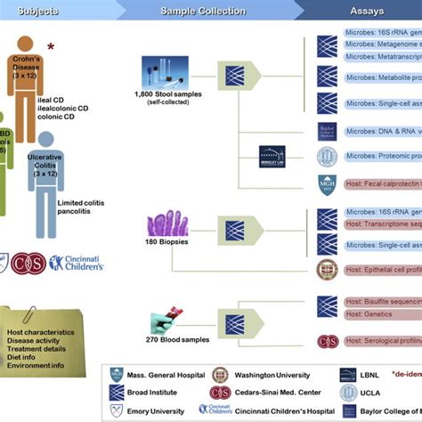 Pdf Cell Host And Microbe Perspective The Integrative Human Microbiome Project Dynamic Analysis