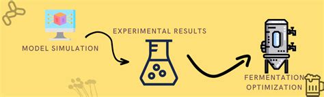 Bioprocess Modeling A Powerful Tool For Modern Biotechnology Industry