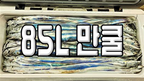 갈치가 줄을 탄다 이렇게 잘 나오면 두 쿨러도 가능 YouTube