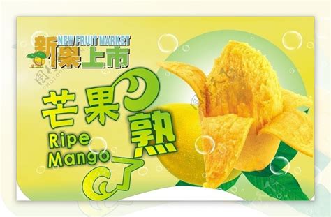 芒果图片素材 编号13400943 图行天下