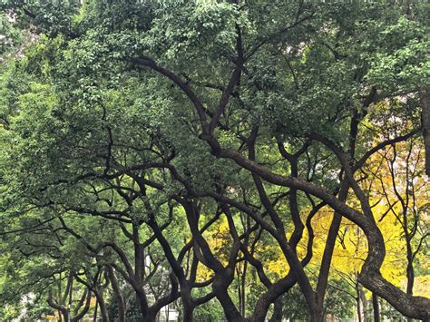这个周末，晴冷限时回归，下周还有冷空气影响浙江