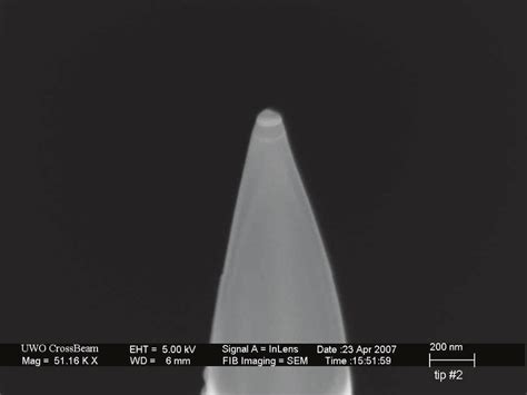 Sem Image Of Fib Polished Sample Tip Download Scientific Diagram
