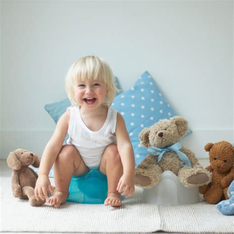 아이 배변 훈련에 대한 모든 것