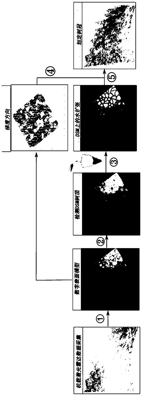Airborne Laser Point Cloud Oriented Single Plant Crown Segmentation Method Based On Water