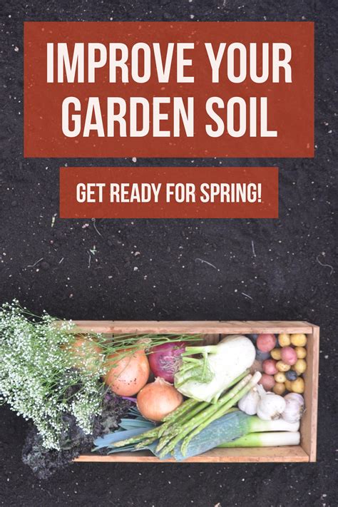 Amending Your Soil Is A Crucial Step To Having A Successful Organic