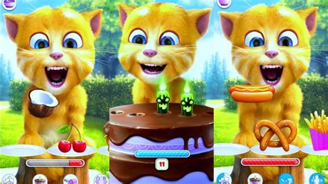 Talking Ginger Fun Funny Cat Video 🌶️🍠🧀🍇🍋🥑🍅🍆🍉🥐🥖🍍 Youtube