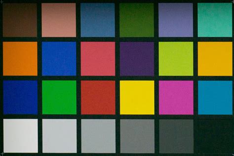 Raw Vs Jpeg Which Image Format Is Better And Why