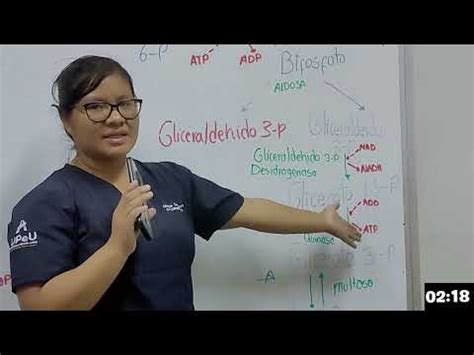 Glucolisis Paso A Paso En 5 Minutos YouTube