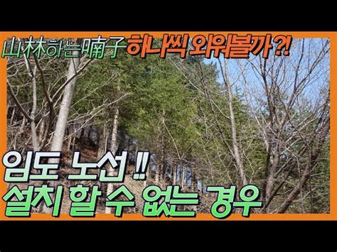 하나씩 외워볼까 임도 임도노선 설치 할 수 없는 경우산림하는 남자 김정호 입니다 YouTube
