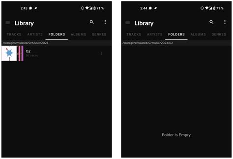 Audio Files Not Showing In Folder View Rblackplayer