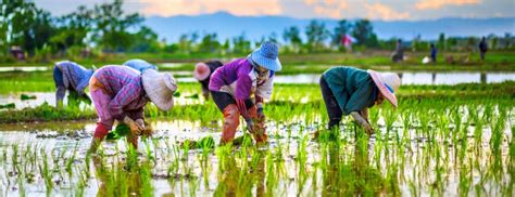 Precision Development Pxd Climate Transformation Fund
