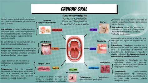 Cavidad Oral