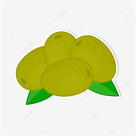 Olive Fruits Sticker Vector Illustration Olive Olive Fruit Olive