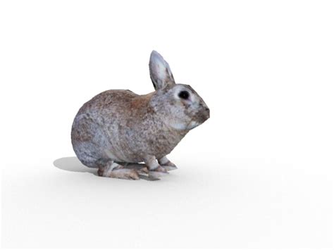 Shaderlight And Fur Plugin Sketchucation