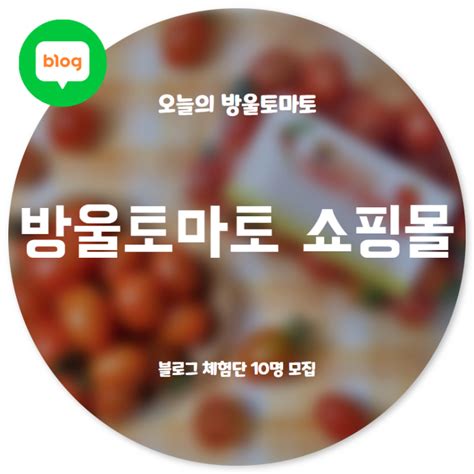오늘의 배송 건강한 단맛을 느낄 수 있는 오늘의 방울토마토 쇼핑몰 리뷰어 모집 네이버 블로그