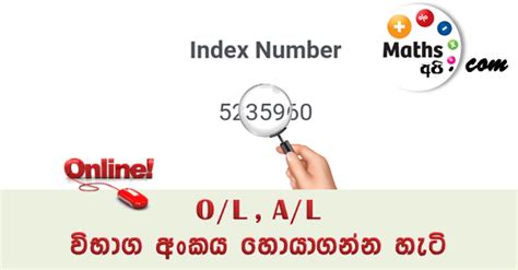 How To Find O L And A L Exam Index Number Online MathsApi Largest Online Mathematic