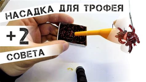 Насадка для крупной рыбы | Пучковяз - YouTube