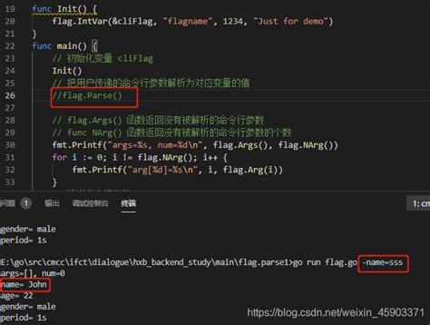 Flagparse：命令行参数的传递 Csdn博客