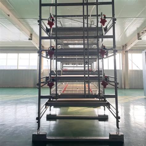 Pull Out Slat Automatic Harvesting Poultry Cage System Broiler Chicken