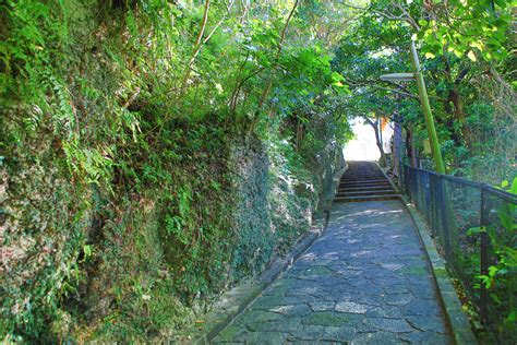 沖繩那霸首里城景點｜金城町石疊道。琉球國王漫步的日本百選古道 （古蹟） 洛基小聿媽