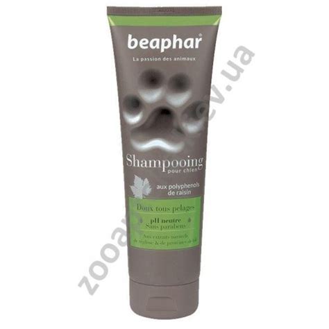 Шампунь повседневный Beaphar (Бифар) для собак. Купить в Киеве.