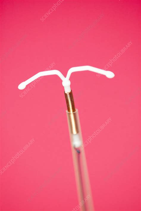Iud Contraceptive Stock Image C0328407 Science Photo Library