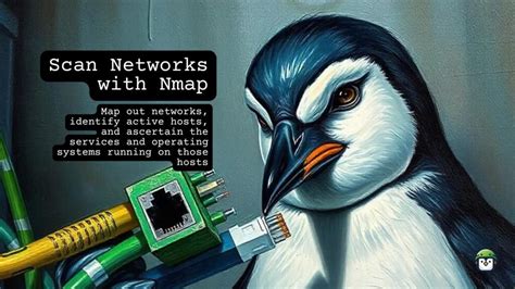 Performing Basic Network Scans With Nmap In Termux