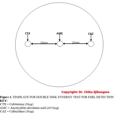 Extended Spectrum β Lactamase Esbl Detection Methods Everything Microbiology