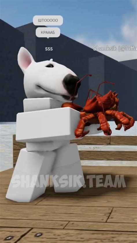 ТИПИЧНЫЙ ЛЕТО В ТСБ Fypシ゚viral Fyr Roblox роблокс On Bloxfruits
