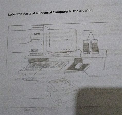 Label The Parts Of A Personal Computer In The Studyx