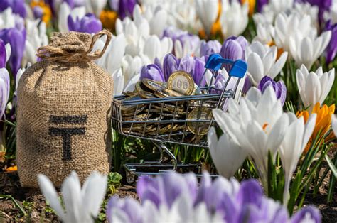 카자흐스탄 화폐 기호 텡게가 있는 돈 가방 100텡게 동전과 활짝 핀 크로커스 꽃이 있는 슈퍼마켓 쇼핑 카트 0명에 대한 스톡