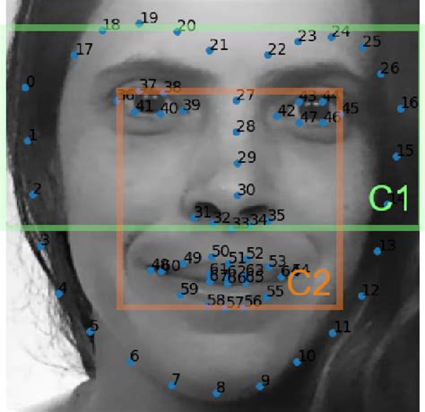 Figure 1 From Using Cropped Datasets For Training Deep Neural Networks
