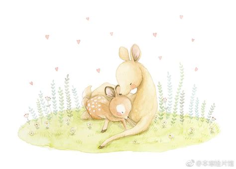 一组充满童趣的小动物插画 软萌暖心 绘画Aida Zamora西班牙