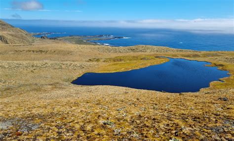 The Lessons We Can Learn From Sub Antarctic Lakes Saef