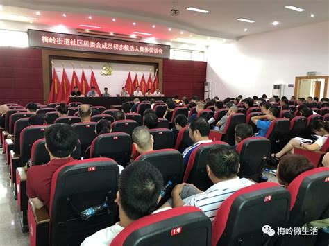 工作动态梅岭街道召开2018年社区居委会成员初步候选人集体谈话会 参选人