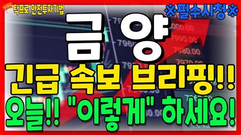 금양 긴급 속보 브리핑 오늘은 꼭 이렇게 하세요 탁프로 Youtube