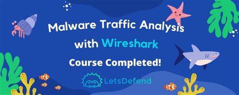 Emin Aliyev On Linkedin Wireshark Expert