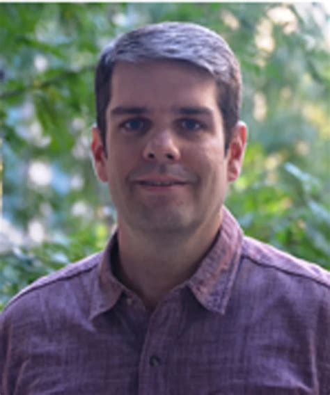 Daniel Hauge — Arc