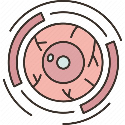 retinal scan iris recognition biometric icon download on iconfinder