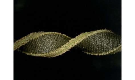 Soft And Stretchy Fabric Based Sensors For Wearable Robots