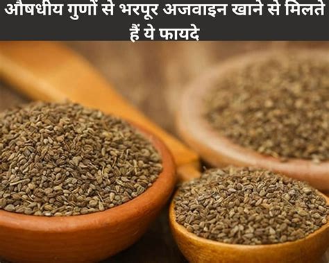 9 Benefits Of Ajwain In Hindi औषधीय गुणों से भरपूर अजवाइन खाने से