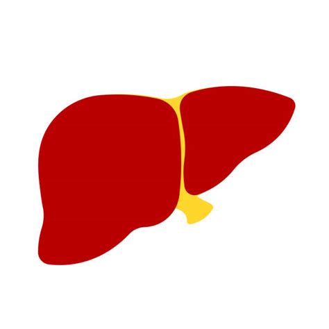 Hepatitis B Cartoon Illustrations Royalty Free Vector Graphics And Clip