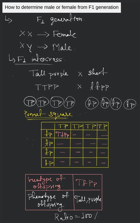 How To Determine Male Or Female From F1 Generation Filo