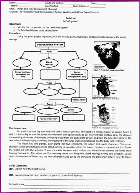 Igcse 7th Grade Science Worksheets