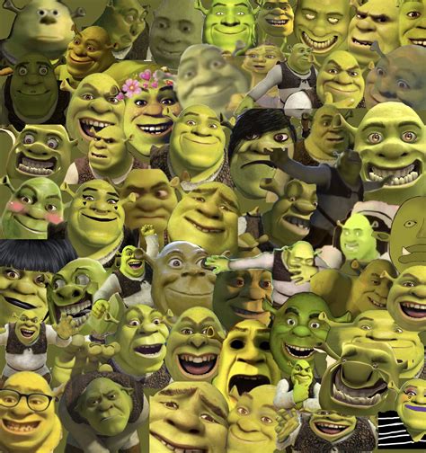 Shrek Funny Wallpapers Wallpaper Cave