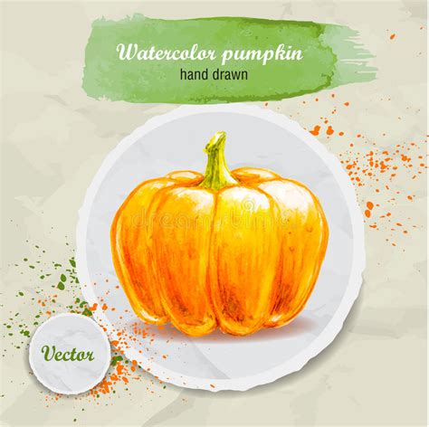 Watercolor Pumpkins Arch Flowers Hand Painted Fall Autumn Bouquet Stock