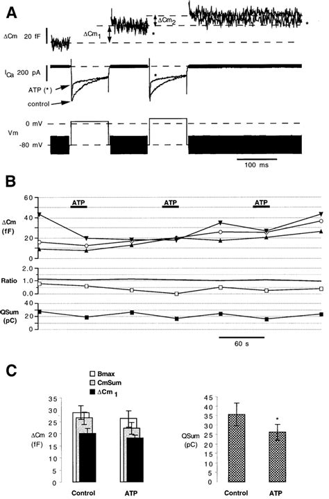 AC ATP Effects On Secretion Stimulated By A Dualpulse Protocol That Download Scientific